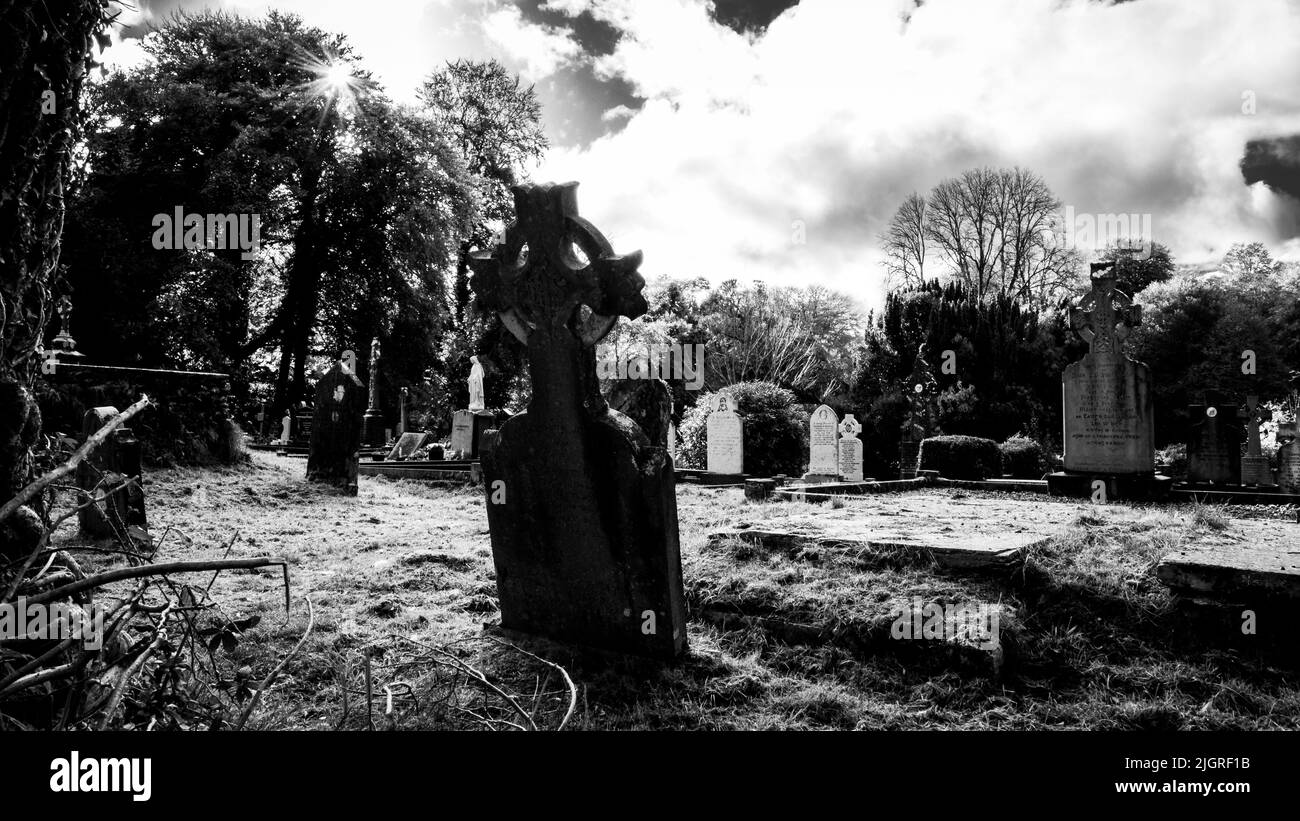 A grayscale shot of tombstones on a graveyard Stock Photo - Alamy