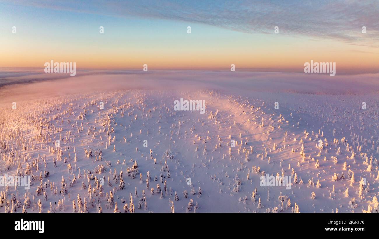 Aerial view of snow covered forest on top ofRiisitunturi, Lapland Stock ...