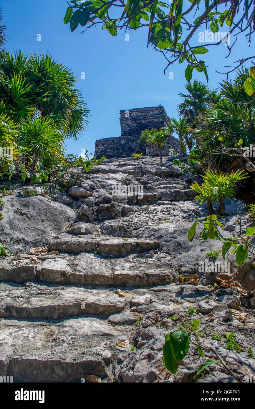 Panoramic views of the ruins of Tulum. Quintana Roo state in Mexico ...