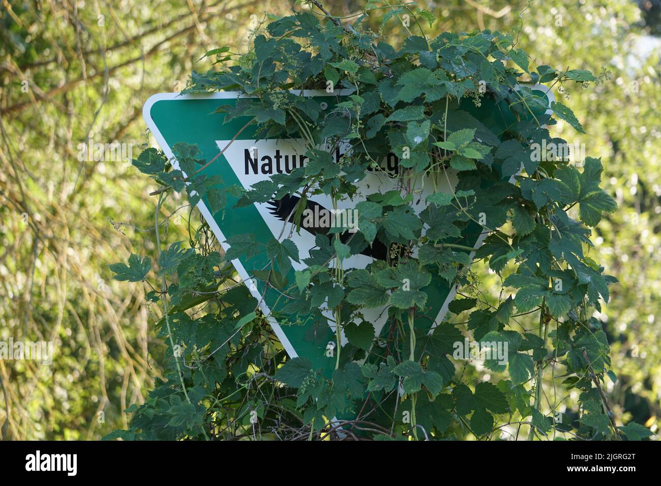 Triangle leaves hi-res stock photography and images - Alamy