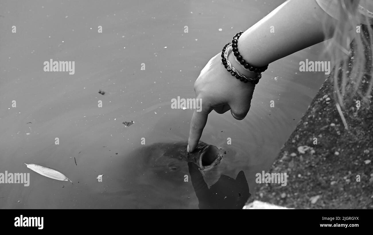 A closeup grayscale shot of a female hand touching the water surface ...