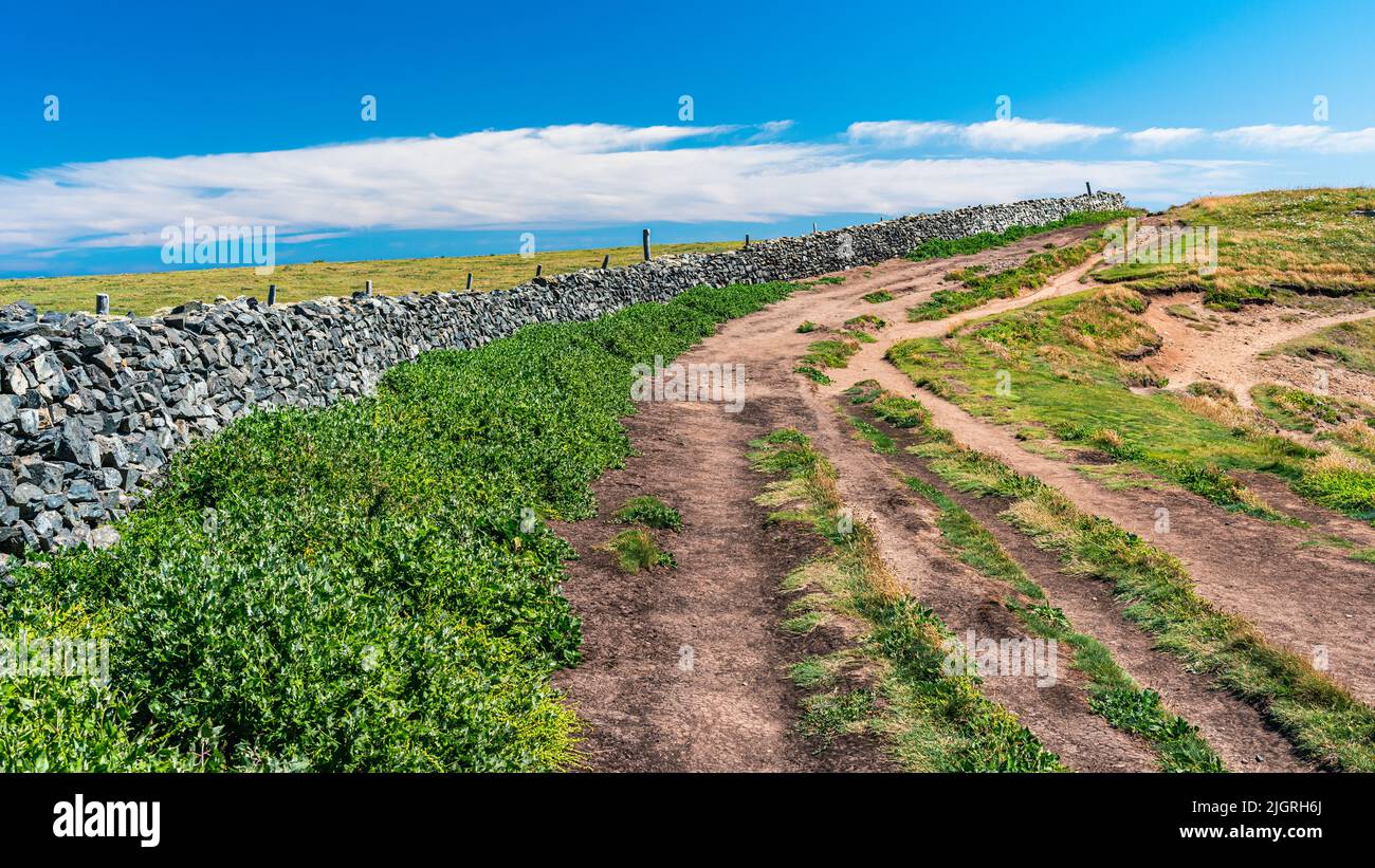 SW Coast Path over Pistil Meadow, Natural Trust, Lizard, Cornwall ...