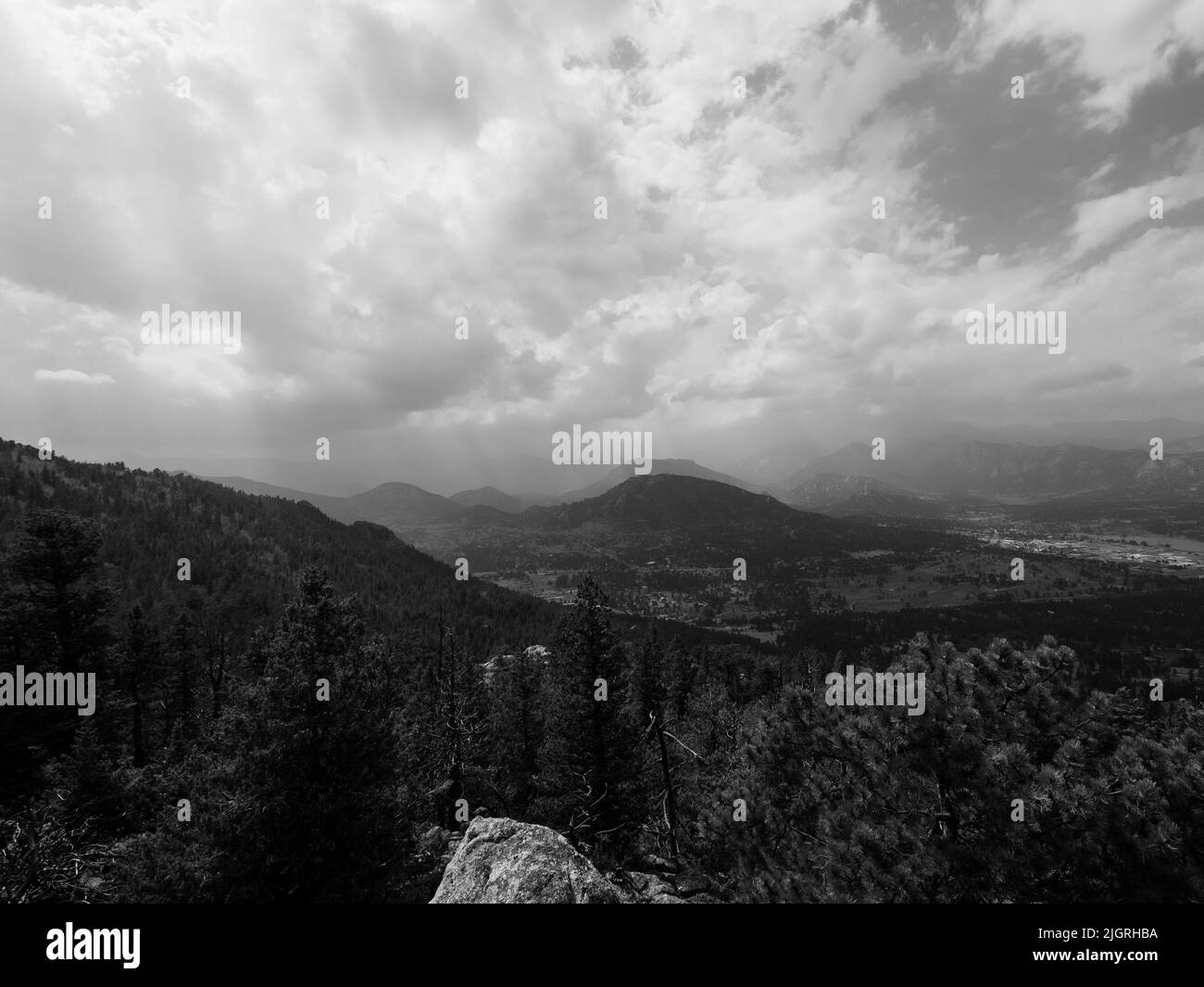A grayscale of forest covered mountains Stock Photo - Alamy