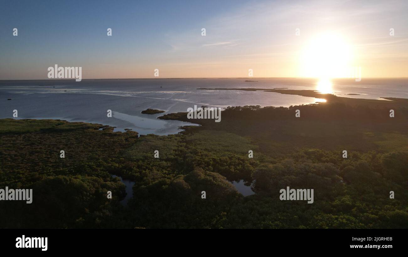 An aerial view of lush green trees in seaside Corolla village with ...