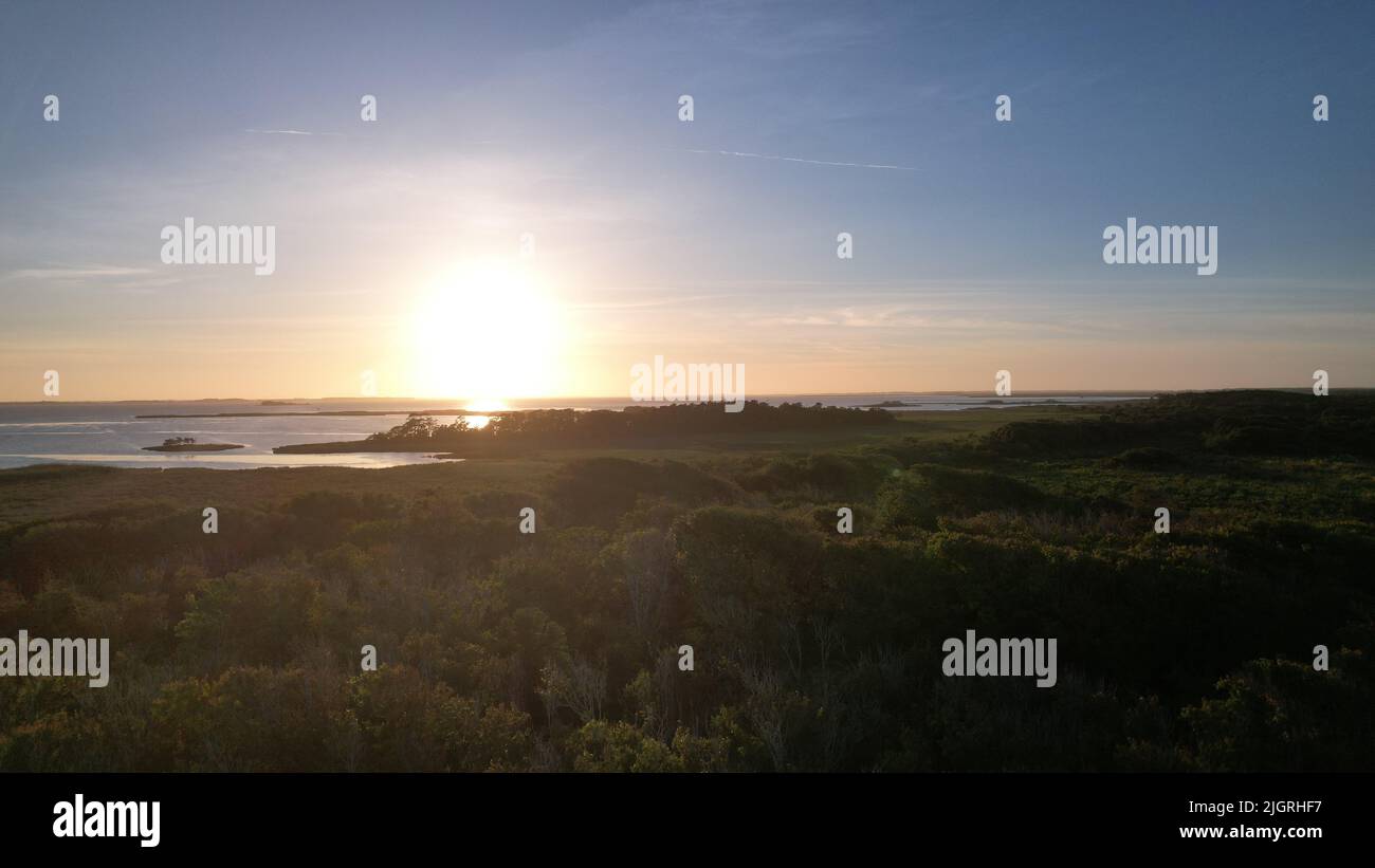 An aerial view of lush green trees in seaside Corolla village with ...