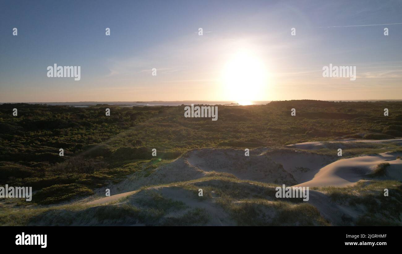 An aerial view of lush green trees in seaside Corolla village with ...