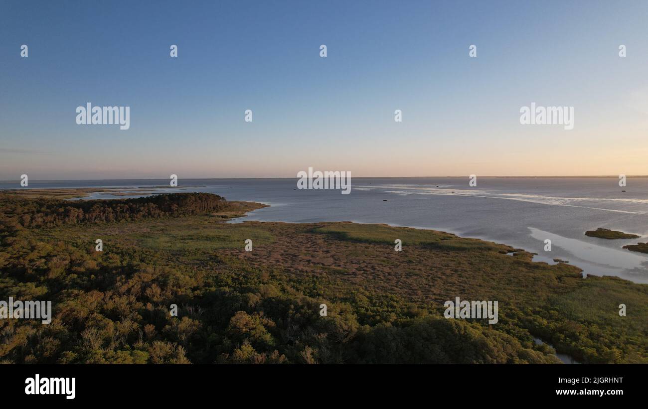 An aerial view of lush green trees in seaside Corolla village on blue ...