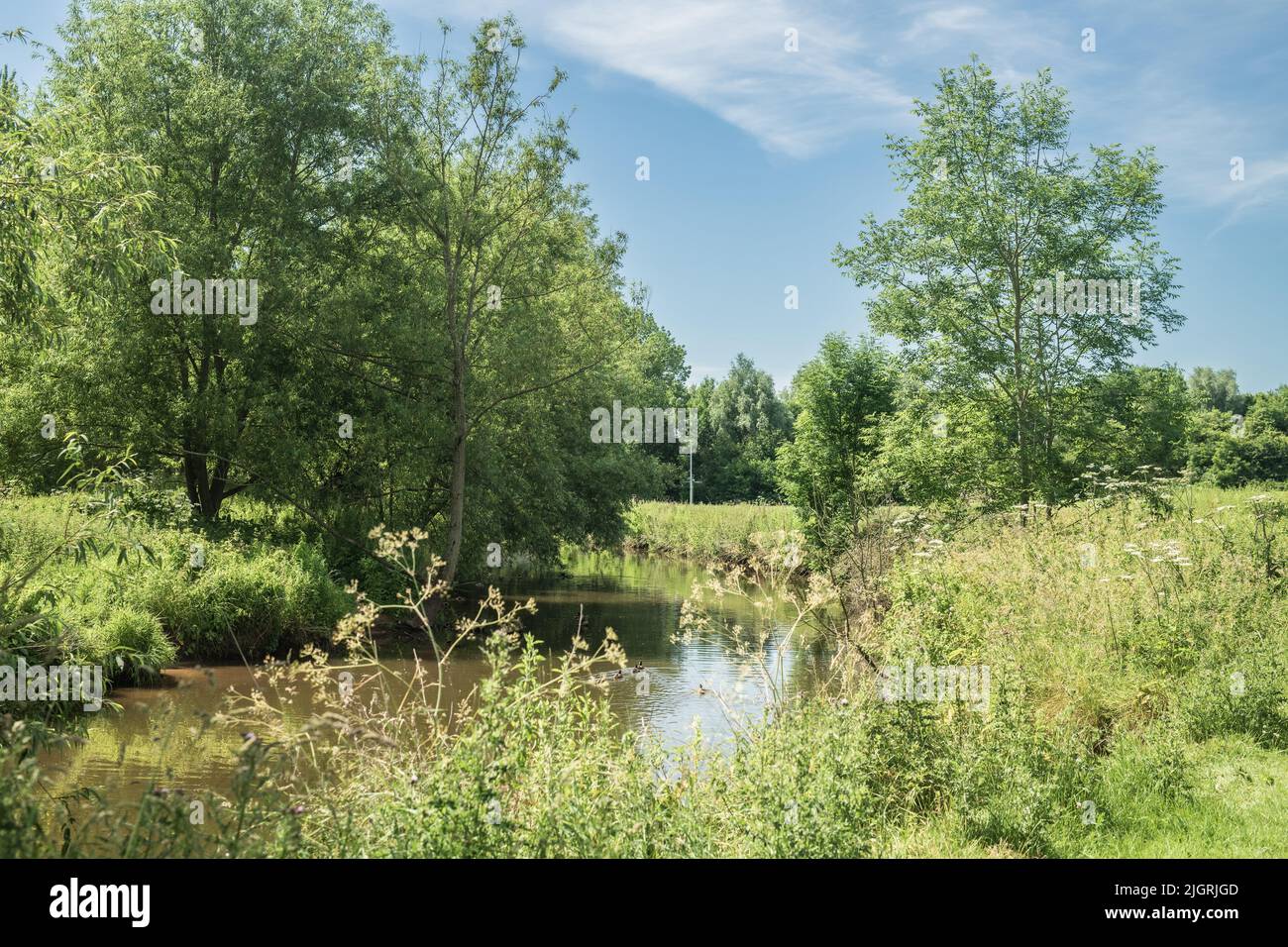 Nantwich river weaver hi-res stock photography and images - Alamy