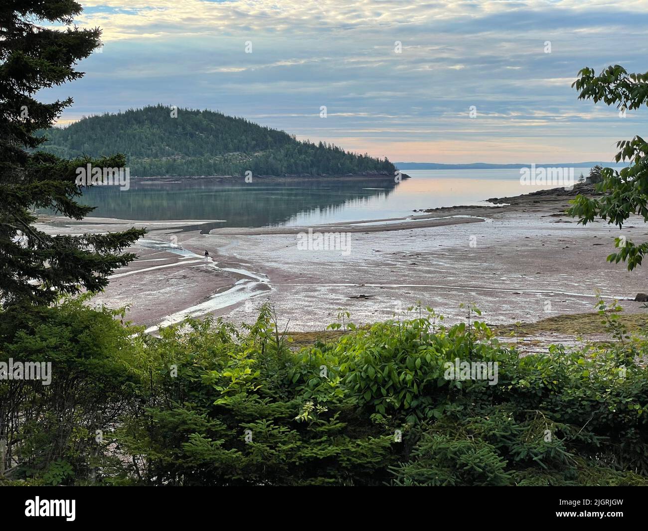 A panoramic shot of a low tide at Passamaquoddy Bay, New Brunswick ...