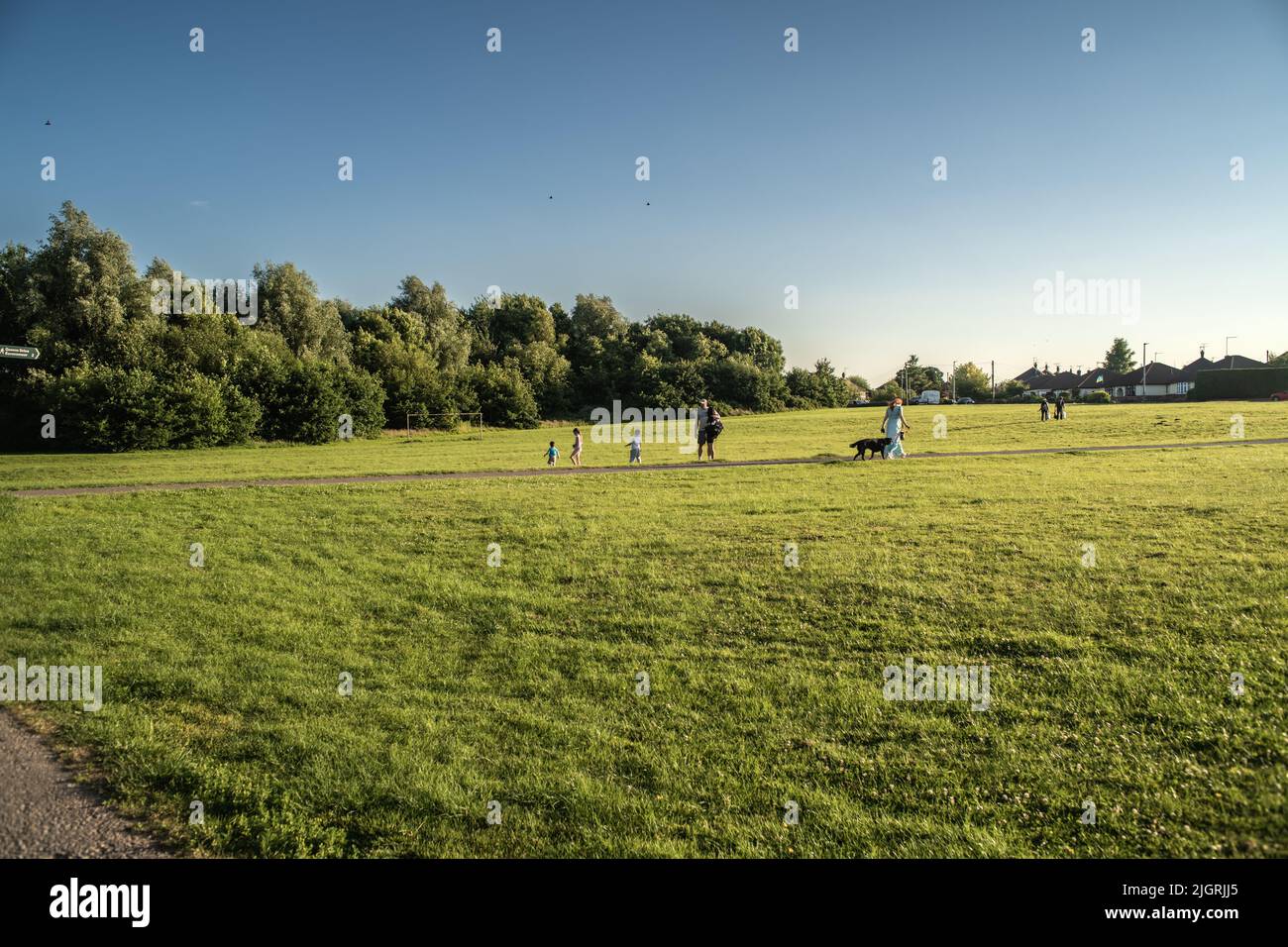 Nantwich, Mill Island with people and dogs walking through a park on a ...