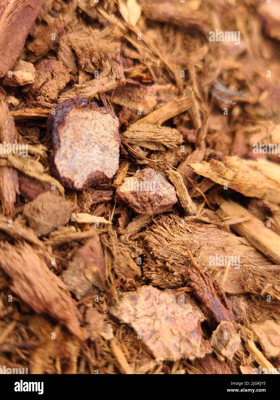 Logging debris hi-res stock photography and images - Alamy