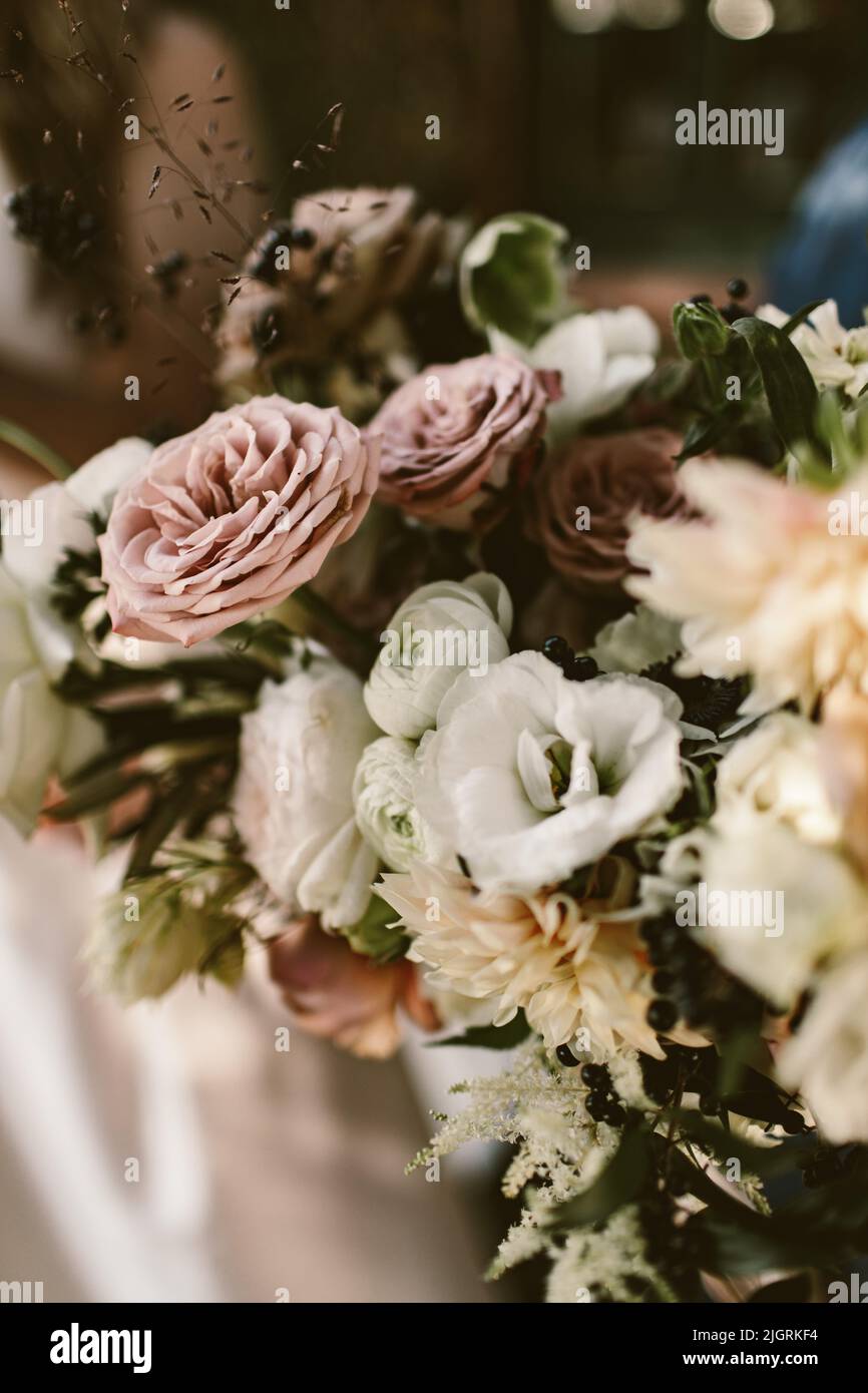 Dusty roses hi-res stock photography and images - Alamy