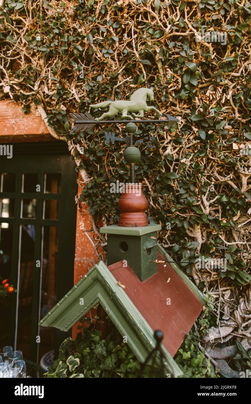 A birdhouse with horse compass in front of ivy wall Stock Photo - Alamy