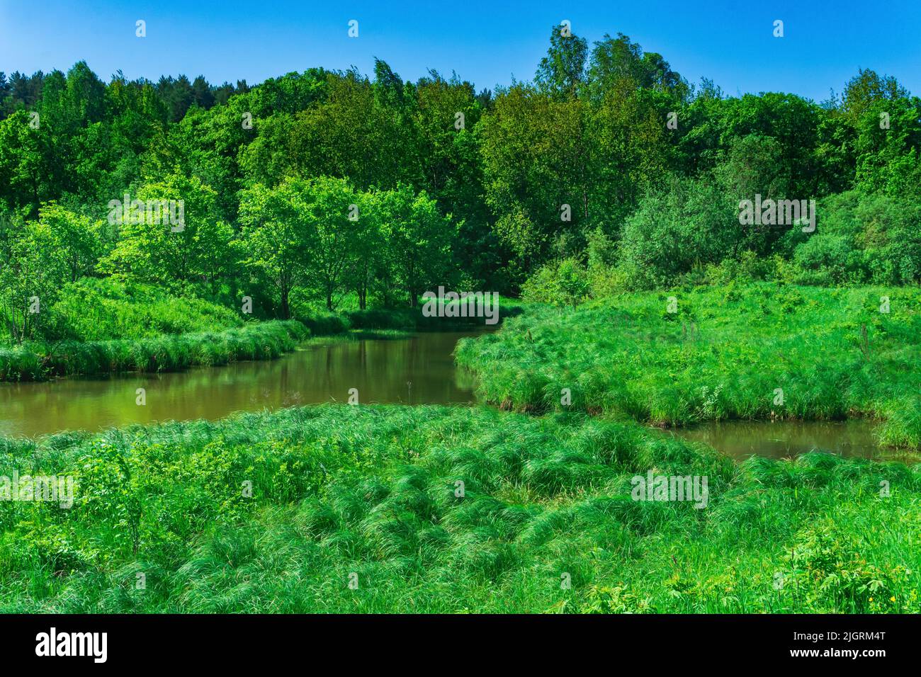 small forest river between banks with fen-meadows Stock Photo - Alamy