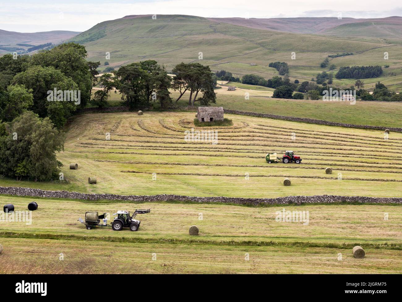 Summer haymaking near Hawes, Wensleydale, Yorkshire Dales National Park ...