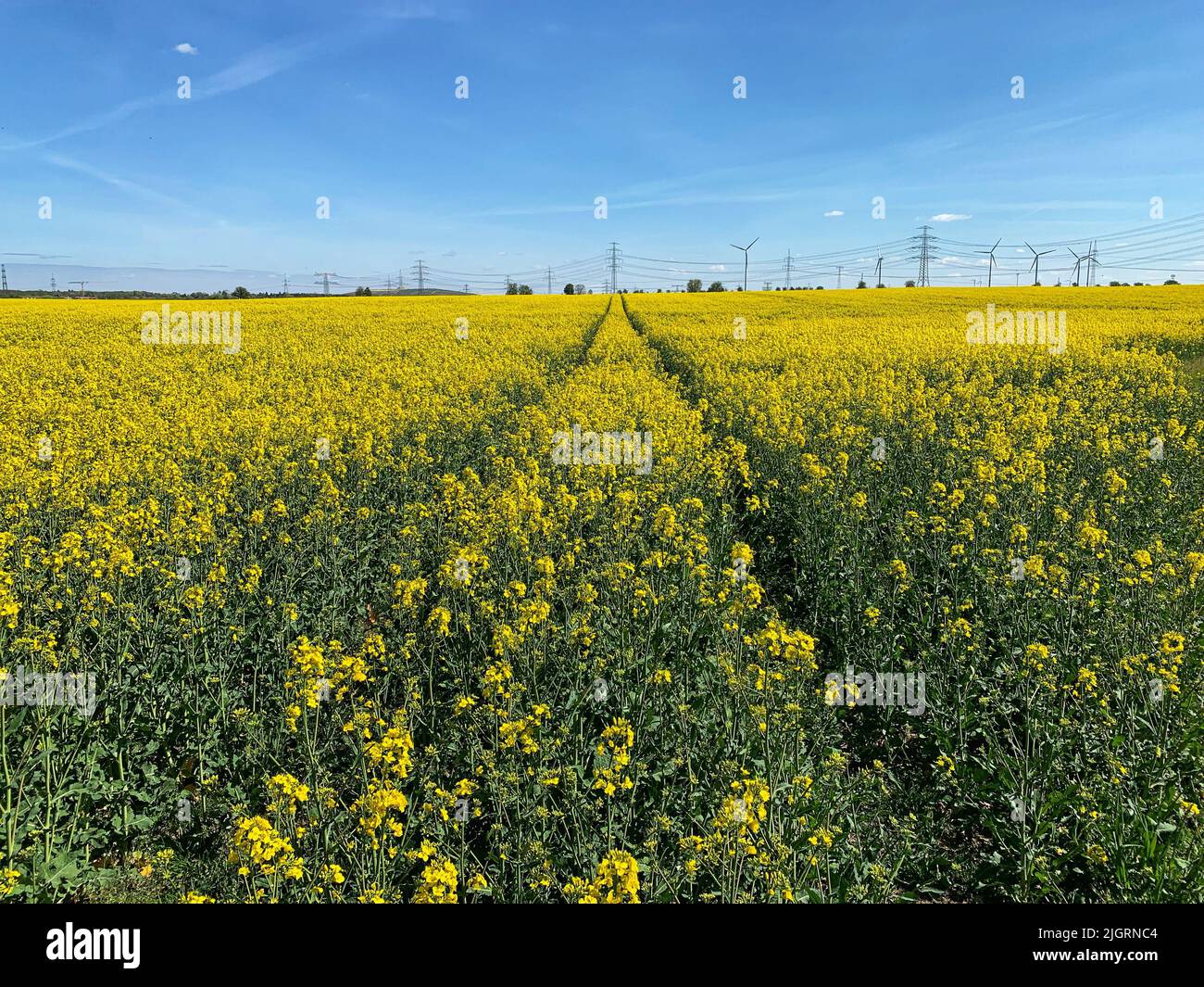 A scenic view of a yellow rapeseed field with transmission towers and ...