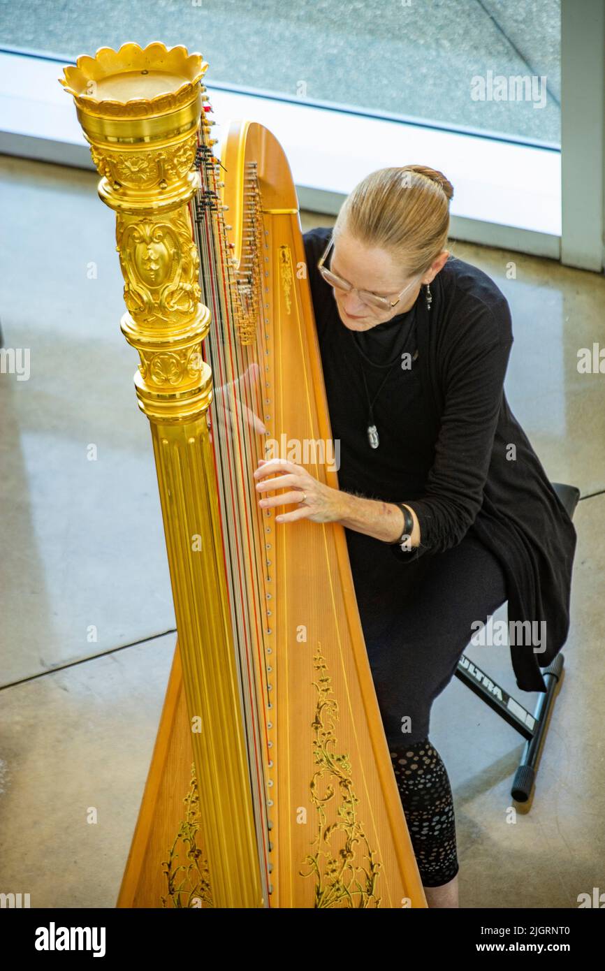 A woman musician plays a gold harp at a society reception in Orange, CA ...