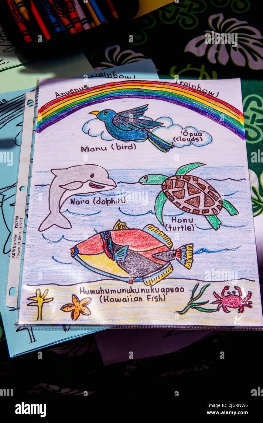 A children's coloring book of sea life teaches English words and their ...