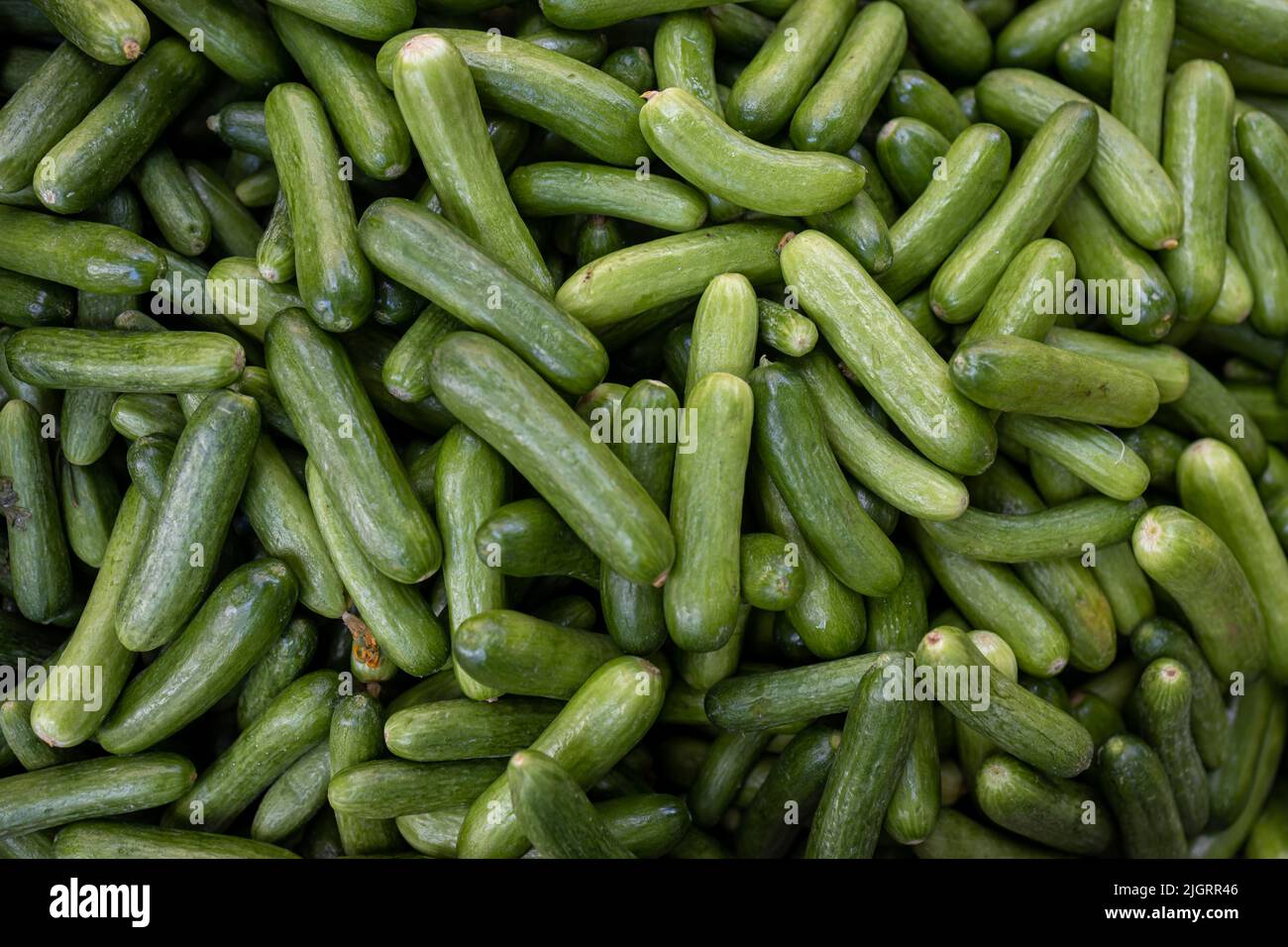 Israel farm market hi-res stock photography and images - Alamy