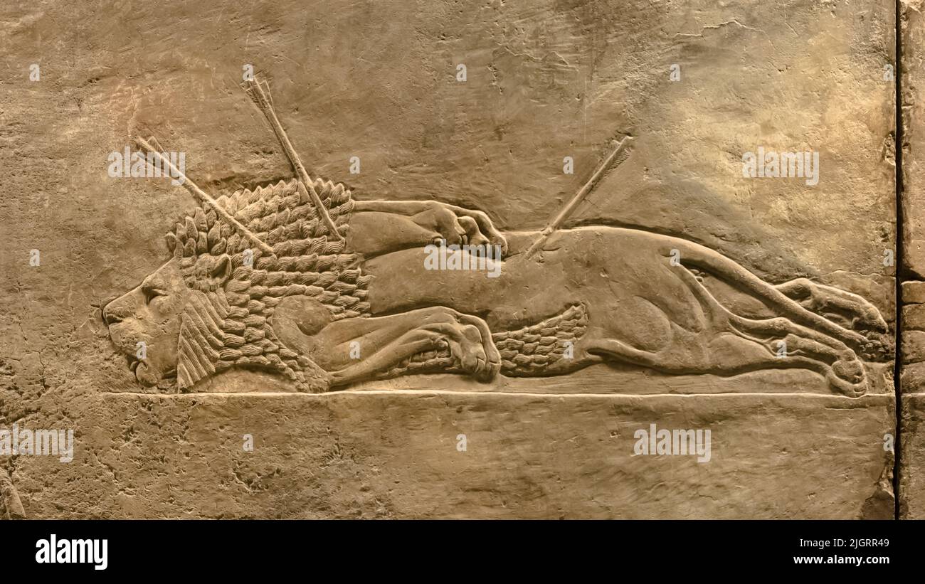 Assyrian reliefs displayed at the British Museum in London, England ...