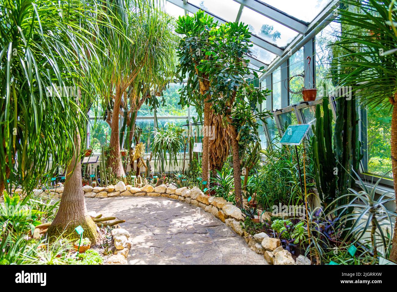 Interior of the Palm House (Palmiarnia Ogrodu Botanicznego), Lodz ...