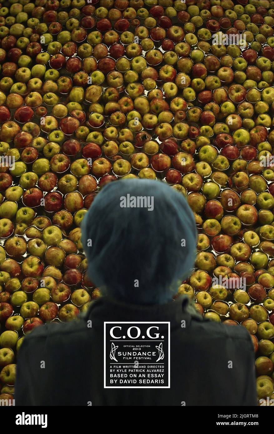 MOVIE POSTER, C.O.G., 2013 Stock Photo - Alamy