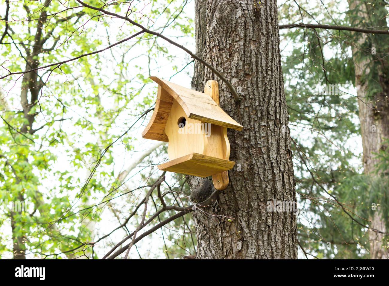 Pretty wooden birdhouse (nesting box or nesthouse) in the wavy shape ...