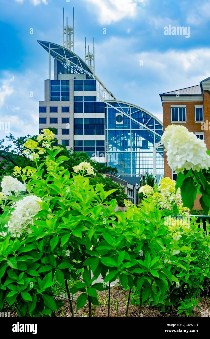Government Plaza is pictured, July 10, 2022, in Mobile, Alabama. The ...