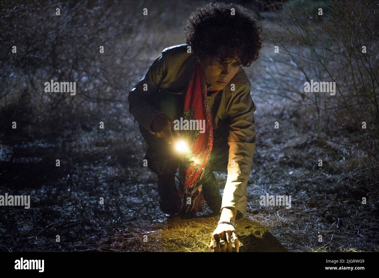 HALLE BERRY, THE CALL, 2013 Stock Photo - Alamy