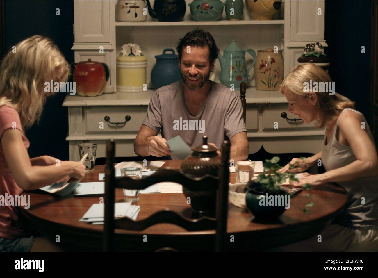 MACKENZIE DAVIS, GUY PEARCE, AMY RYAN, BREATHE IN, 2013 Stock Photo - Alamy