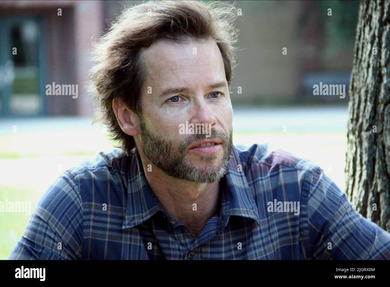 Keith pearce hi-res stock photography and images - Alamy