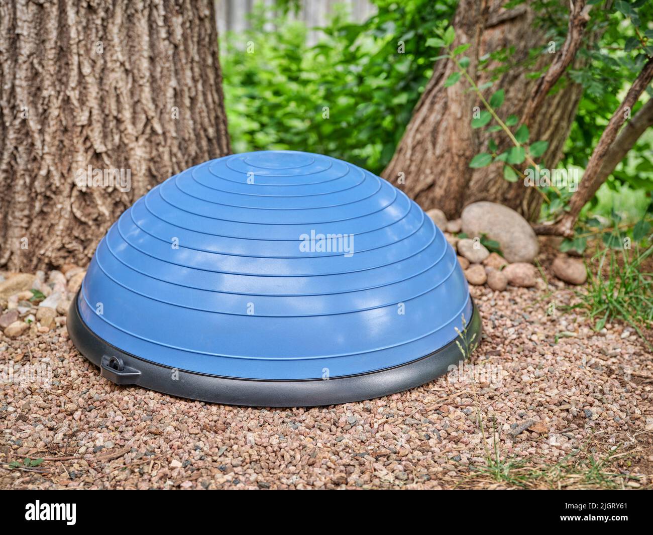 Balance training half ball under oak tree - backyard fitness concept ...