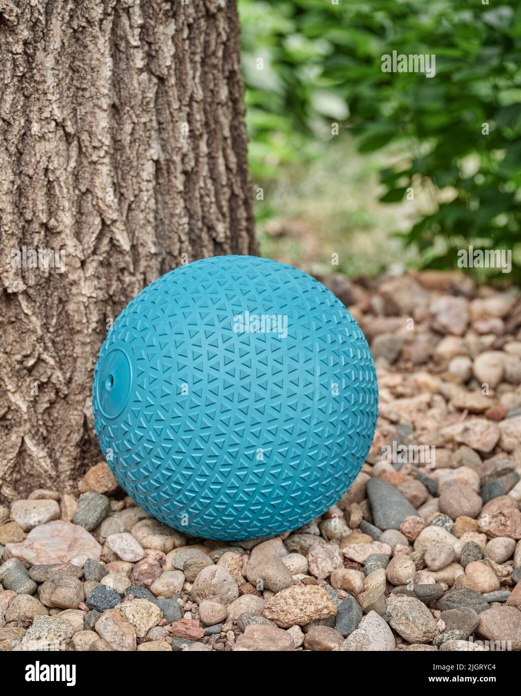 Functional fitness hi-res stock photography and images - Alamy