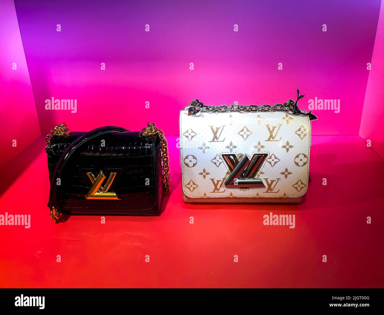 Paris, France, Louis Vuitton, Luxury Products on Sale in Store, Snake ...