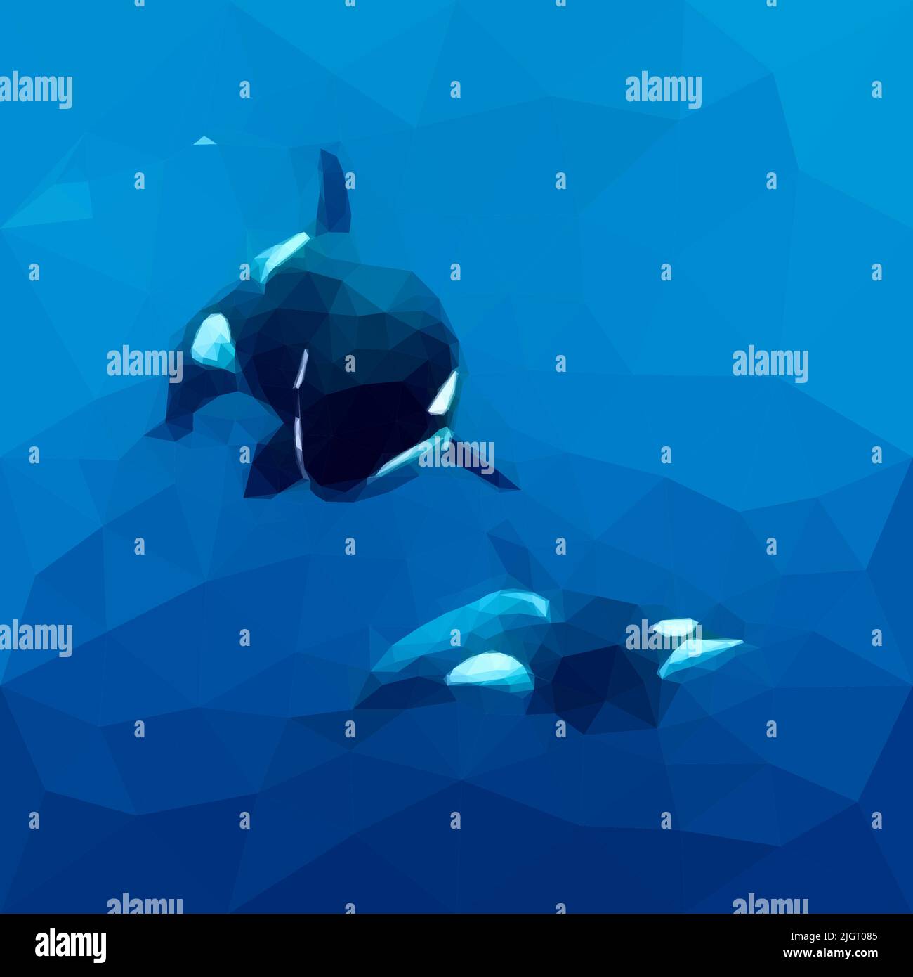 A vector graphic of 2 whales in low poly art swimming in the ocean ...