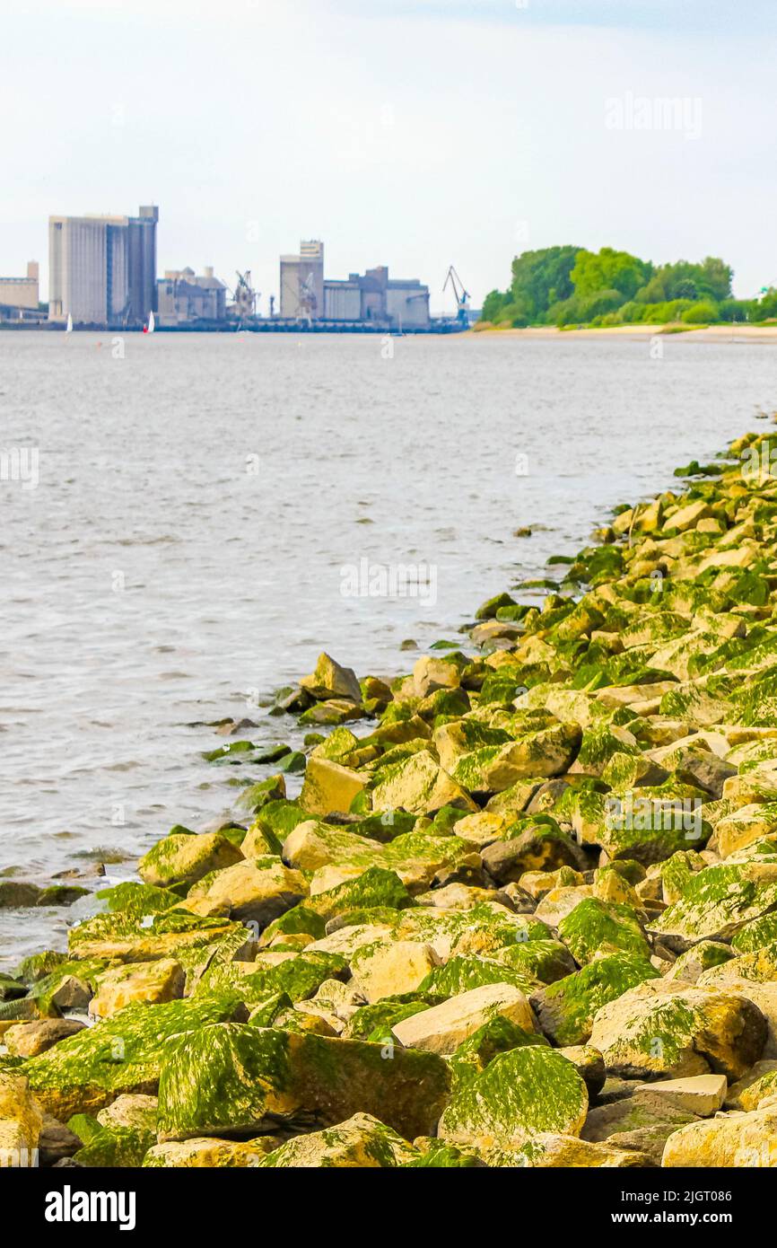 Harrier sand germany hi-res stock photography and images - Alamy