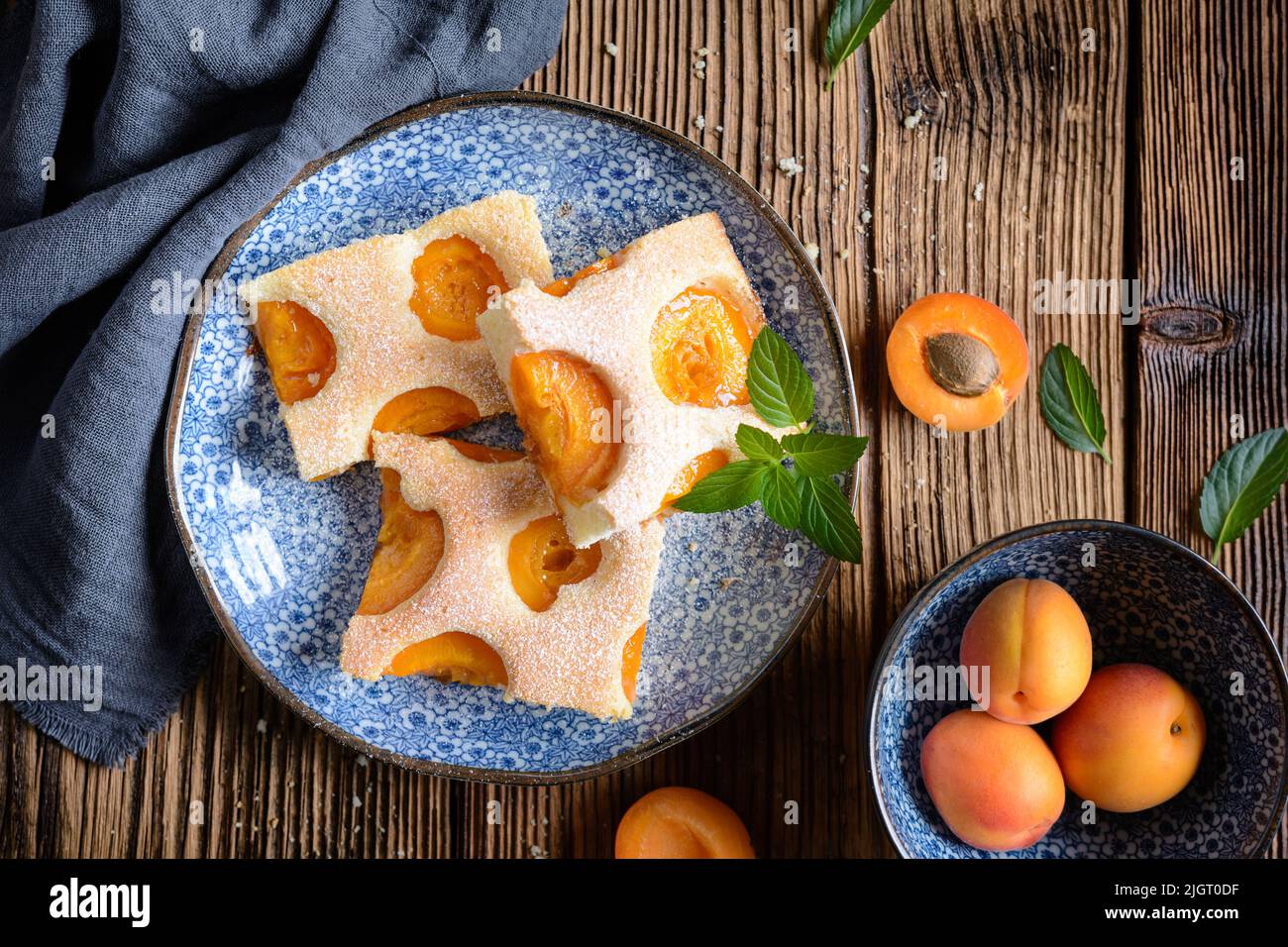 Traditional homemade apricot sponge cake sprinkled with powdered sugar ...