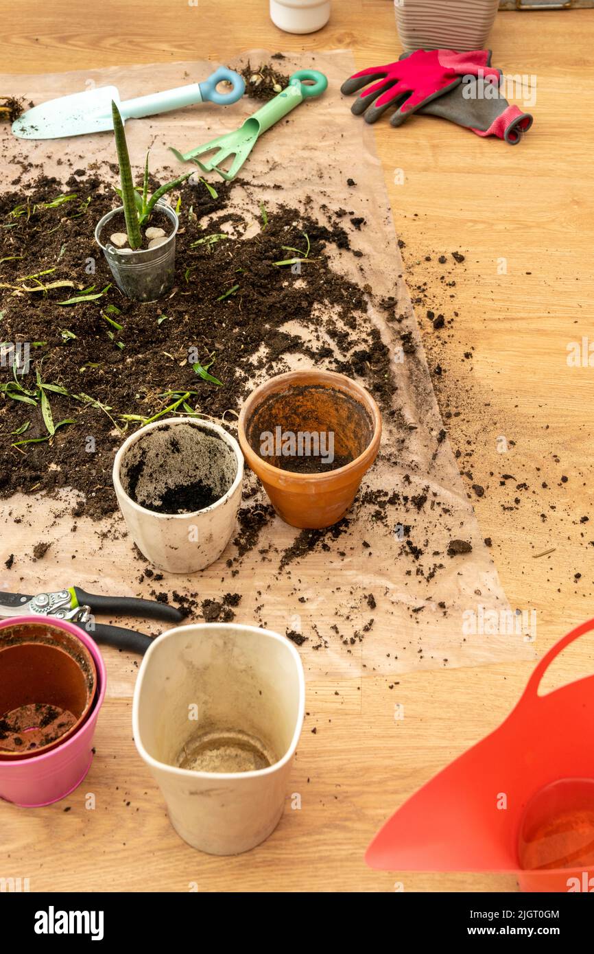 Empty pots, soil and utensils to make plant transplants Stock Photo - Alamy