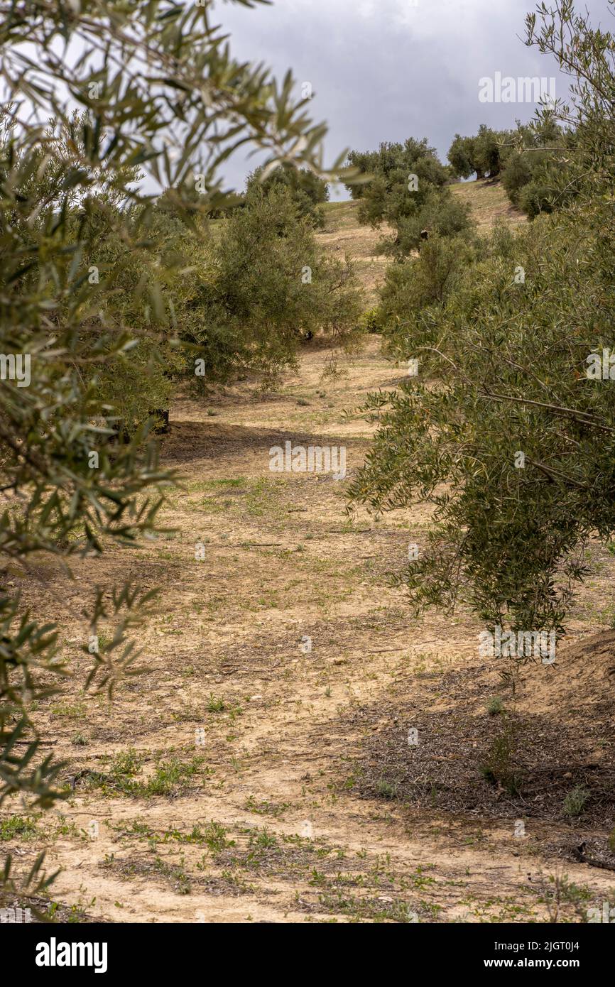 Gentle slope hi-res stock photography and images - Alamy