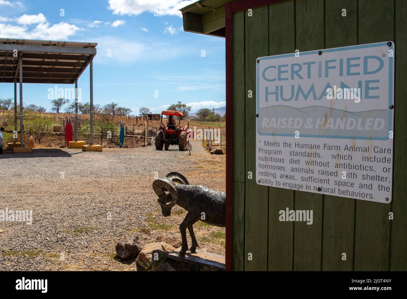 The Surfing Goat Dairy is located on slopes of Maui’s Haleakala Crater ...