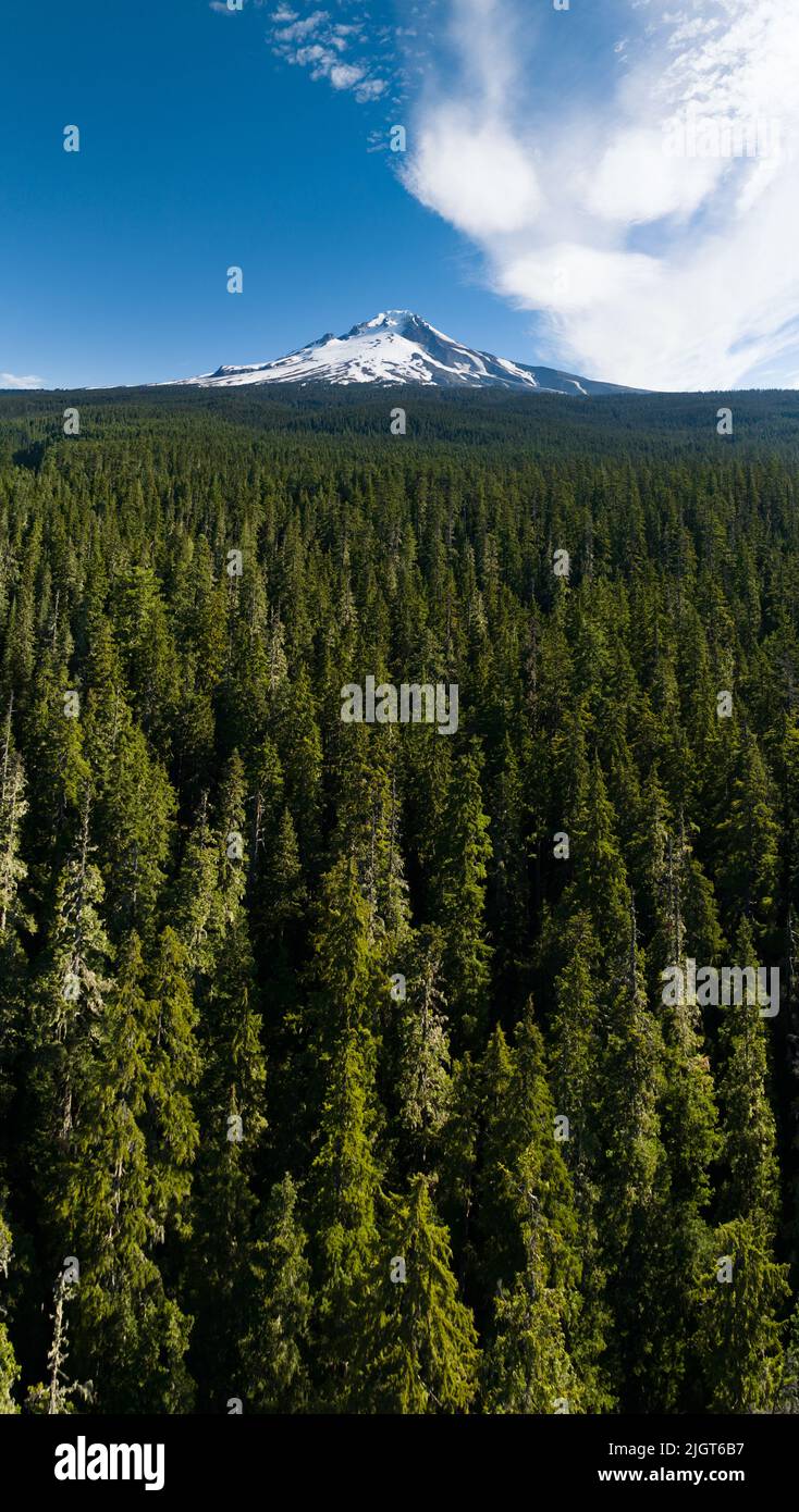 Mt. Hood rises from surrounding forest in Oregon, not far from Portland ...