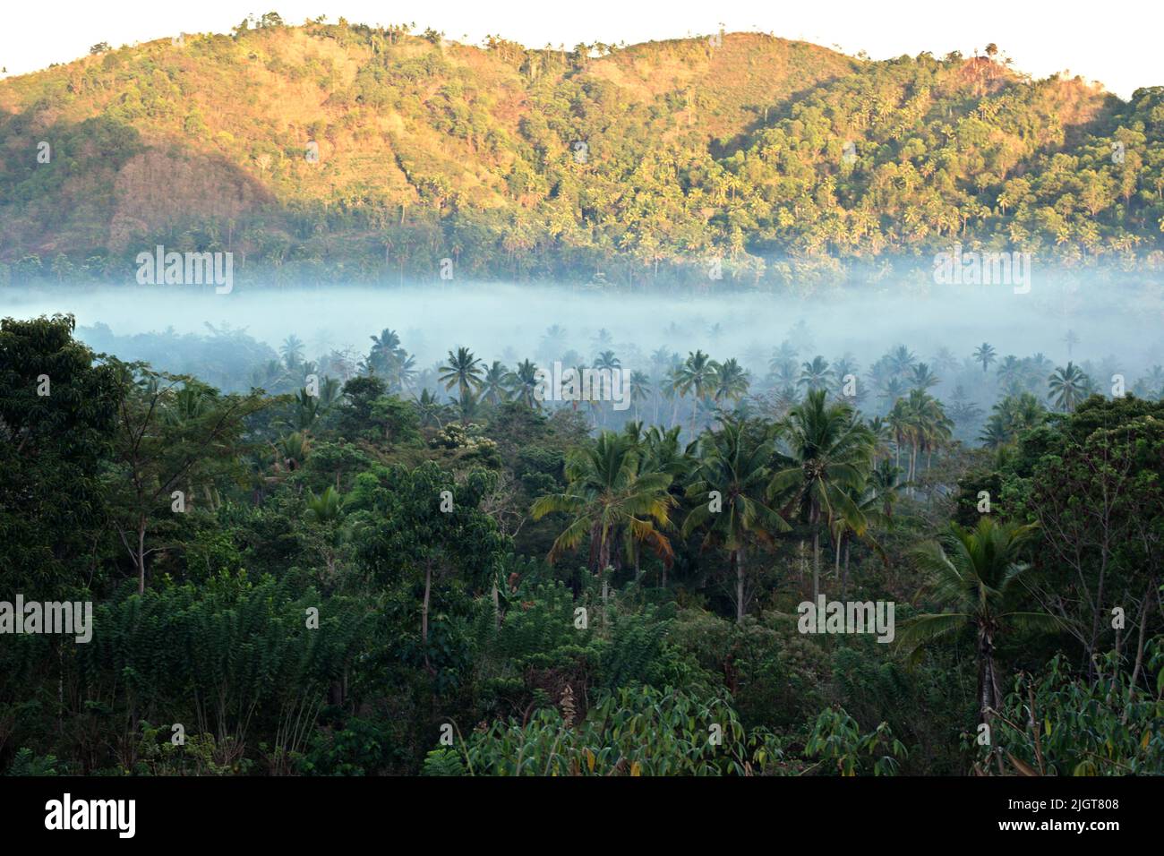 Lerek hi-res stock photography and images - Alamy