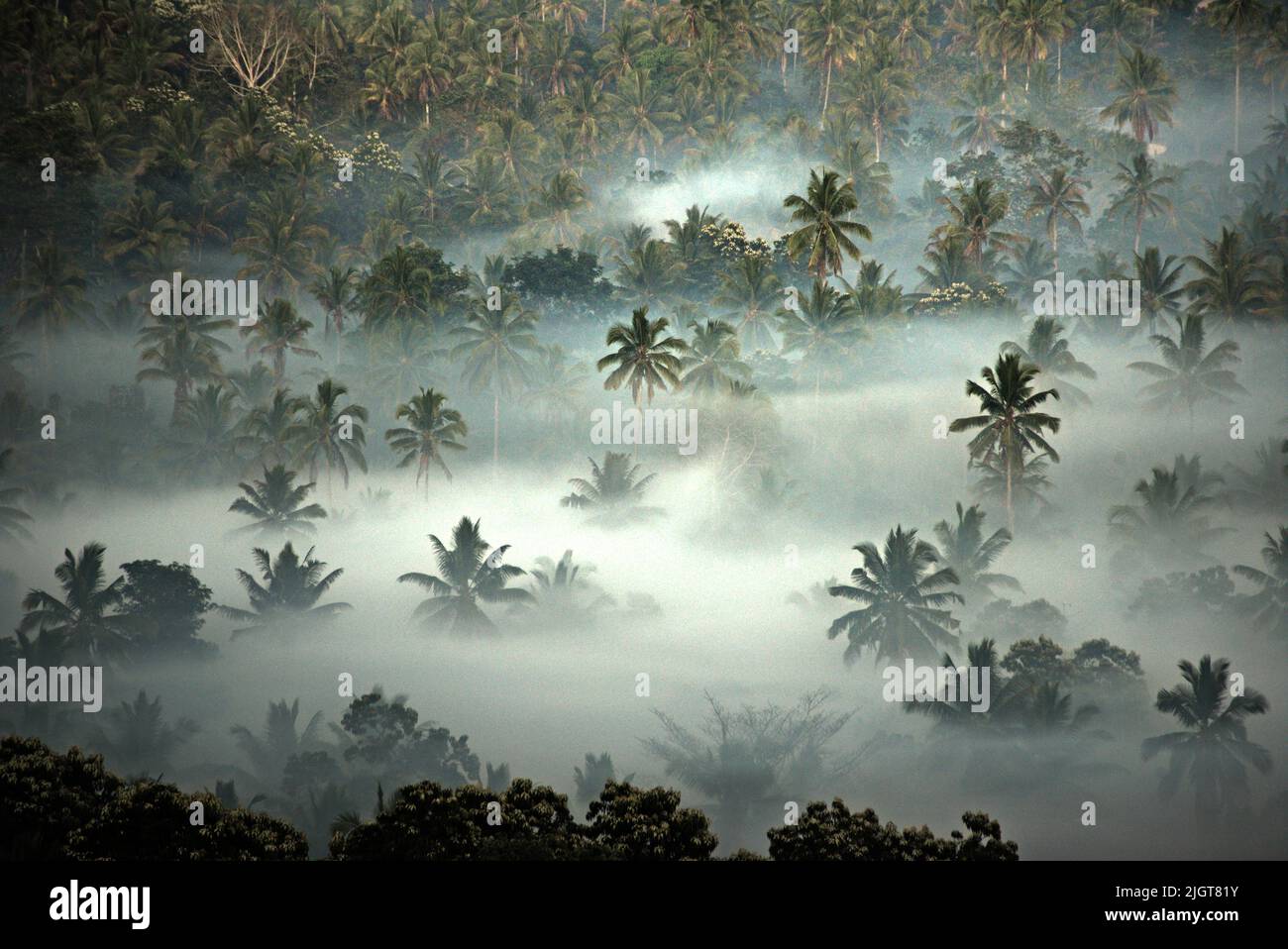 Eastern lembata hi-res stock photography and images - Alamy