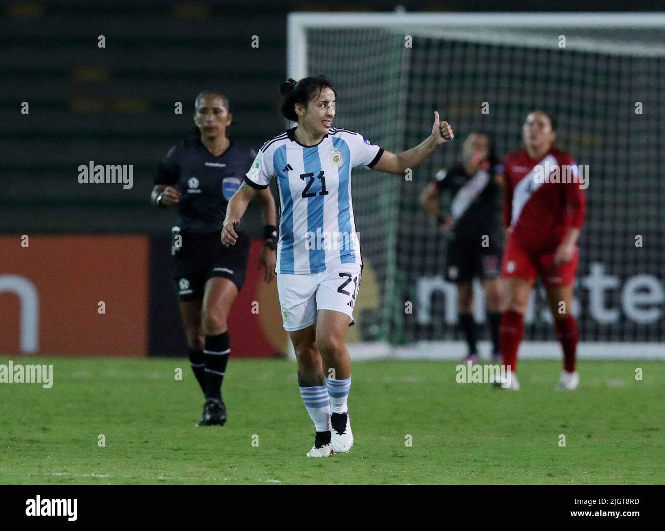 Erica america hi-res stock photography and images - Alamy