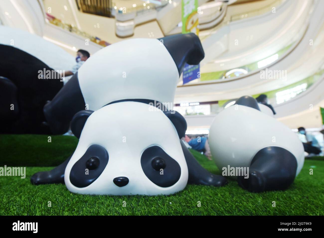 HANGZHOU, CHINA - JULY 13, 2022 - Photo taken on July 13, 2022 shows "P ...