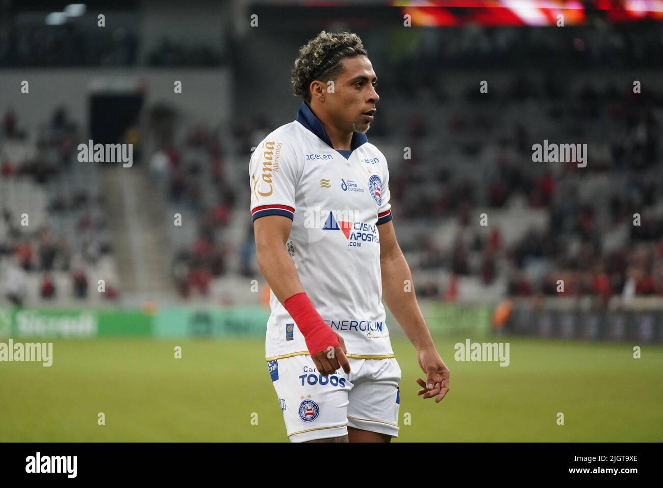 Acare hi-res stock photography and images - Alamy