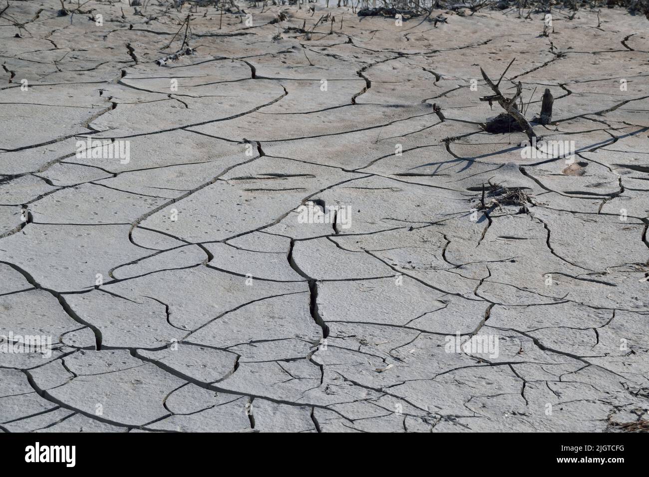 Cracked earth hi-res stock photography and images - Alamy