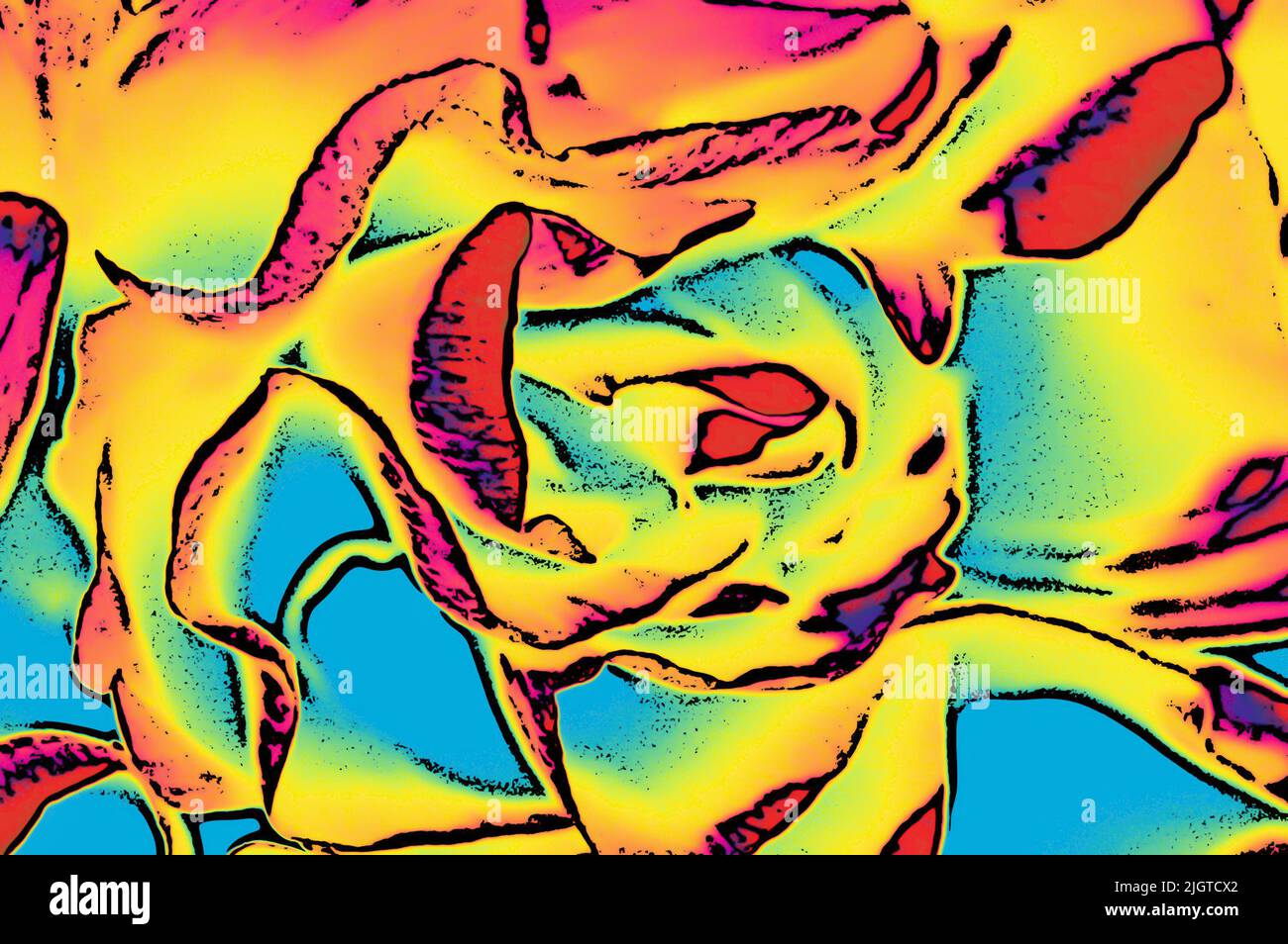 Computer art generated from an original photo taken by myself Stock ...