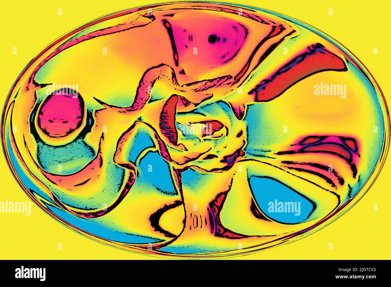 Computer art generated from an original photo taken by myself Stock ...