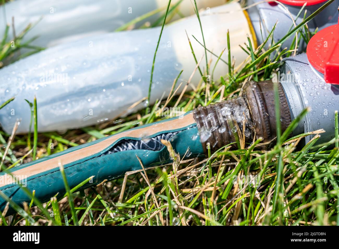 Frayed garden hose with burst section spraying water from the point of ...